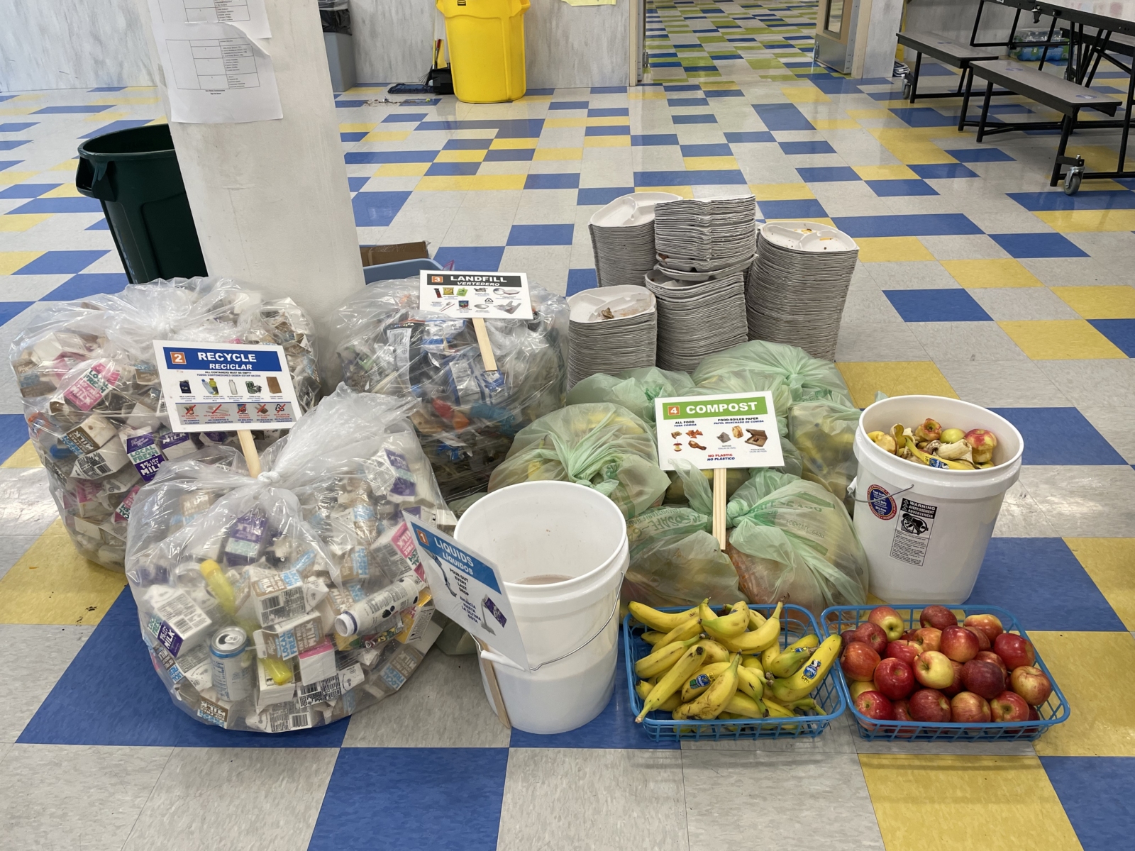Zero Waste Schools – Seven Generations Ahead